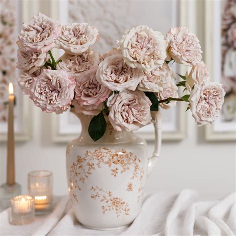Mauve Roses Elegant Lavender Pink Hues Grace Rose Farm