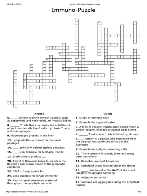 Immuno Puzzle Crossword Labs Pdf Lymphatic System Immune System