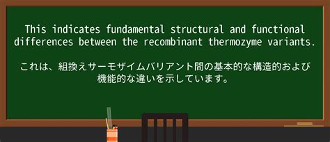 【英単語】functional Differencesを徹底解説！意味、使い方、例文、読み方