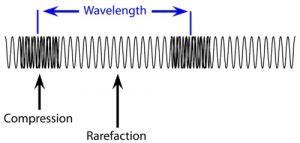 9 Best Examples Of Longitudinal Waves In Everyday Life RankRed