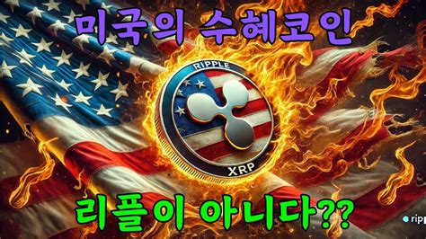 리플 미정부 수혜코인은 리플이 아니다 그럼 완전 나가린데xrp 리플 리플코인 리플전망 Youtube