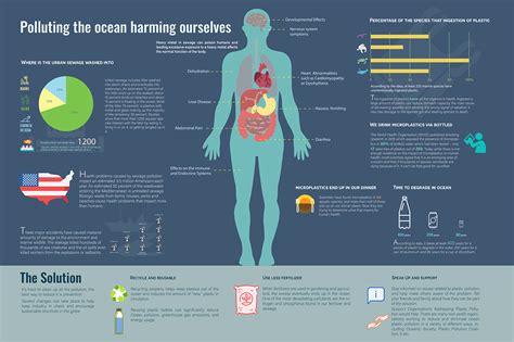 Data Visualization Poster On Behance
