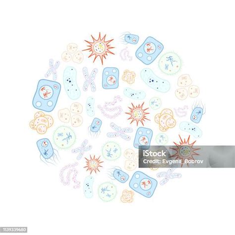 밝은 다채로운 생물학 세포의 세트 박테리아와 바이러스 흰색에 동그라미 모양으로 배열 0명에 대한 스톡 벡터 아트 및 기타 이미지