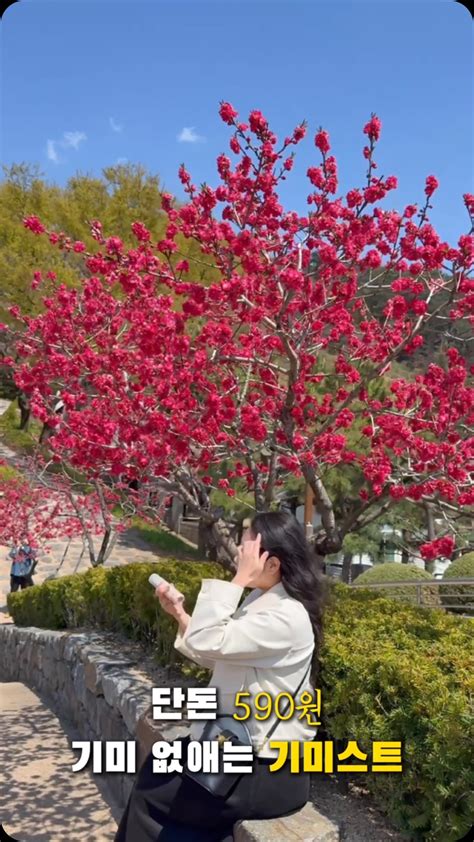 부산 마린시티 슈퍼젝션전문점 미엘르 〡윤곽•리프팅 전문점〡파메스테틱 입점 〡피부창업 아카데미 대표 이태양 •기미 •잡티