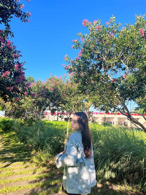 Lan Anh Stella On Linkedin Holapark Fville2 Job Holapark Urgent Android Application