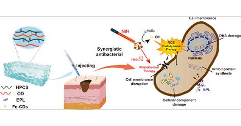 Self Healable And Injectable Nanocomposite Hydrogel Loading Iron Doped Carbon Dots For