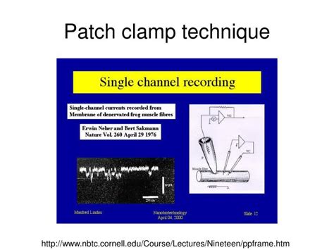 PPT Study Of Ionic Currents By The Patch Clamp Technique PowerPoint Presentation ID 1288013