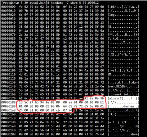 mysql binlog解析（2） 茁壮的小草 博客园
