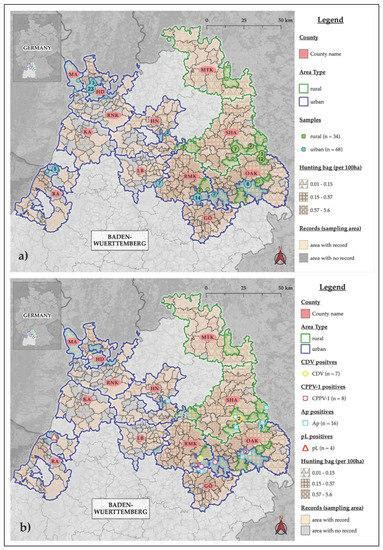 Pathogens Mdpi On Linkedin Bacterial And Viral Pathogens With One