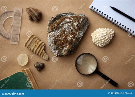 Stone Samples At Geological Laboratory Geology Rock Laboratory