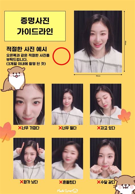 오랜만에 연예인잡담 에펨코리아