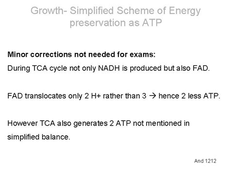 Growth Overview Microbial Growth Overview Of Terms Exponential