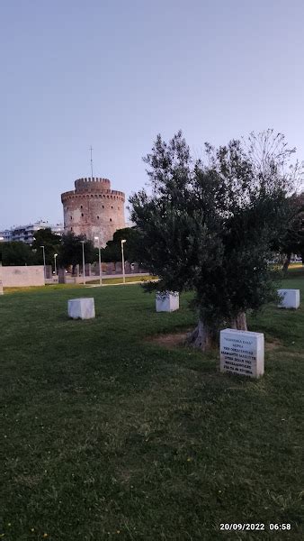 Αιωνόβια Ελιά Αξιοθέατα Θεσσαλονίκη Χάρτης Πληροφορίες Επικοινωνία Ωράριο Τηλέφωνα