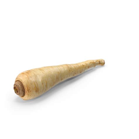 Parsnip Png Images And Psds For Download Pixelsquid S11246977e