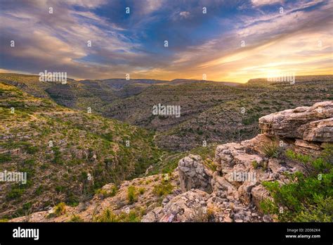 New Mexico Nature