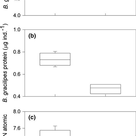 Box Plots Of B Gracilipesa δ¹⁵n Values B Protein Content And C Cn