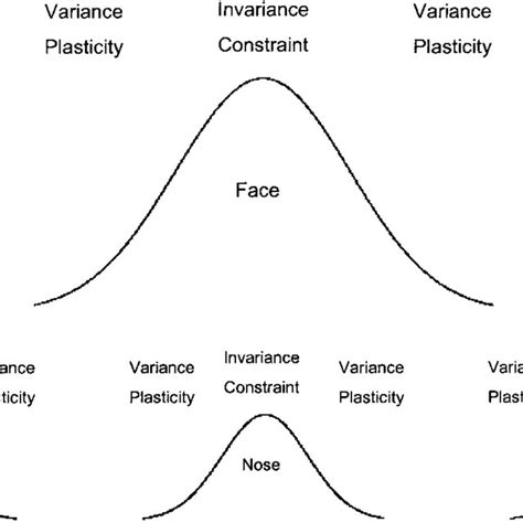 Conceptual Representation Of Invariance And Variance For An