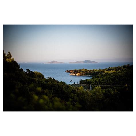 Latest — Harriet Dedman