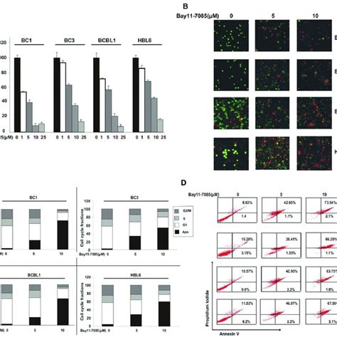 Combination Index Calculation Using Chou And Talalay Method In Pel Cell