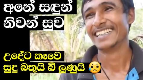 උදේට කෑවේ සුදු බතුයි බී ලූණුයි කියුව තරුයා යන්නම ගිහින් Sandun News Sandun Youtube