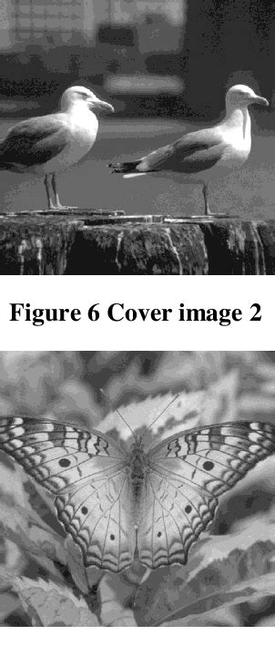 Figure 6 From Lsb Based Digital Image Steganography System Semantic