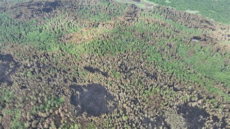 Сэлэнгэ аймагт гарсан 3 түймрийг цурамд оруулж 1 түймрийг унтраахаар ажиллаж байна Subeedei Mn