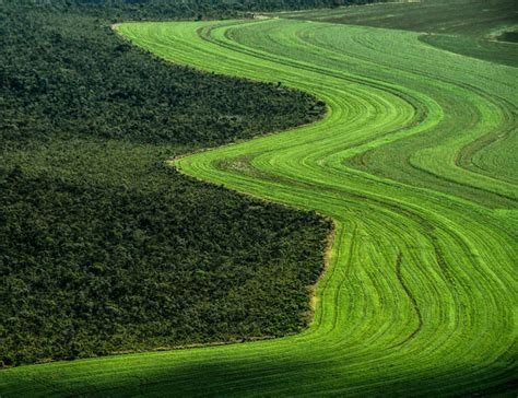 priya shyamsundar on linkedin could you spare an acre for conservation