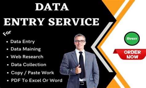 Do Professional Data Entry Perfect Excel Data Entry Scraping Copy Paste By Safiurrehmanman