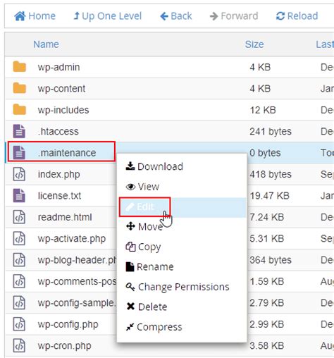 how to manually enable and customize the maintenance file in wordpress