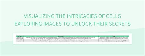 visualizing the intricacies of cells exploring images to unlock their