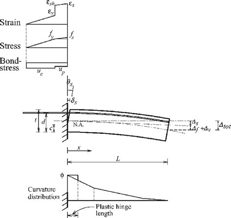 Deformation Components Of An Element Download Scientific Diagram