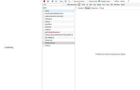 Javascript JS Files Not Showing Content On Network Tab Even If Status