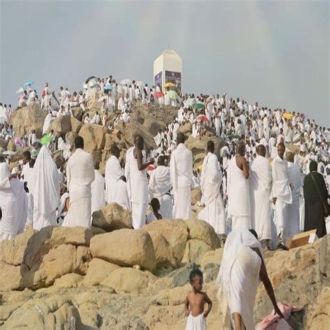 Yolo Crowd Object Detection Dataset V7 2023 10 13 404am By Umm Alqura