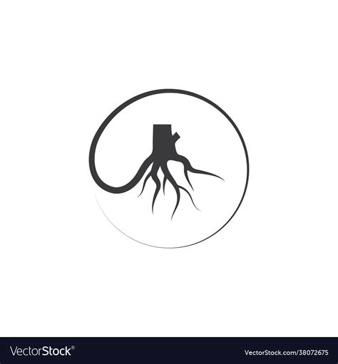 Tree Roots Icon Design Royalty Free Vector Image