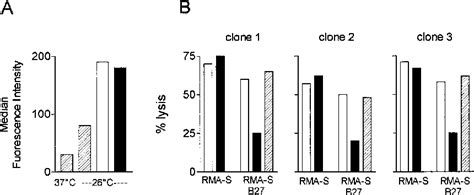 Figure 3 From Natural Killer Cellmediated Lysis Of Autologous Cells