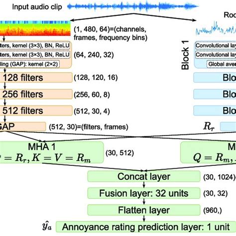 color online the proposed dual branch convolutional neural network