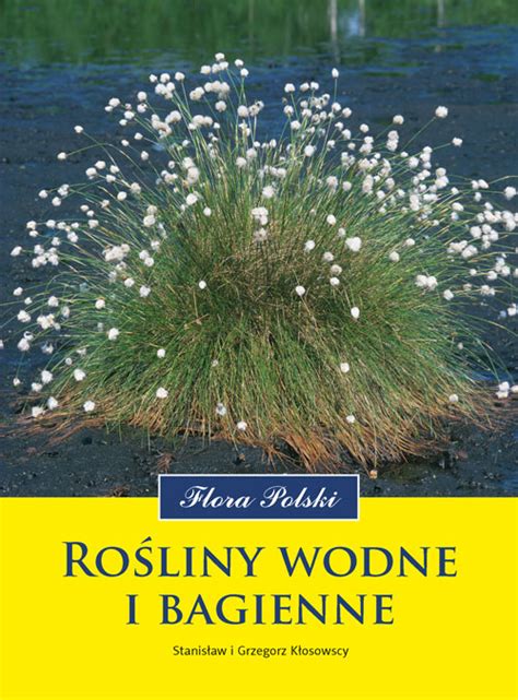 Rośliny Wodne I Bagienne Las Książek