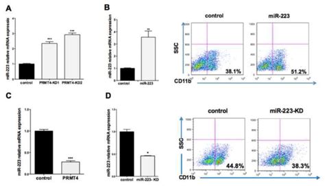 Prmt4 Blocks Myeloid Differentiation By Assembling A Methyl Runx1