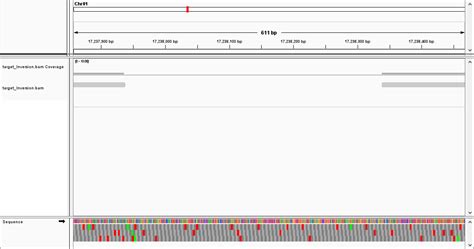 Inversion Detect Problem Issue Schneebergerlab Syri GitHub