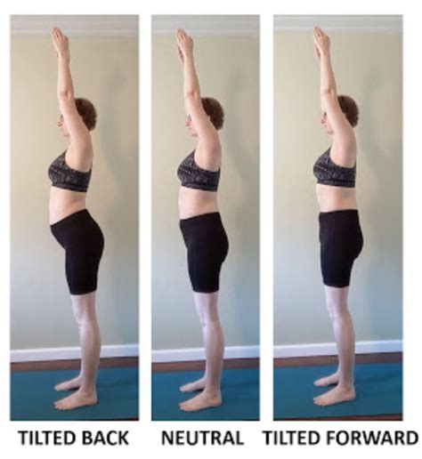 A Neutral Pelvis In Pelvic Floor Exercises