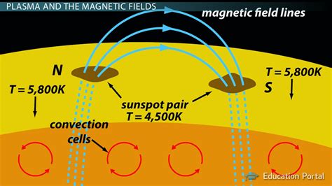 Sun Magnetic Field Diagram