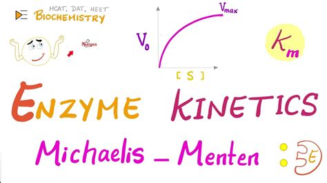 Enzyme Substrate Equation