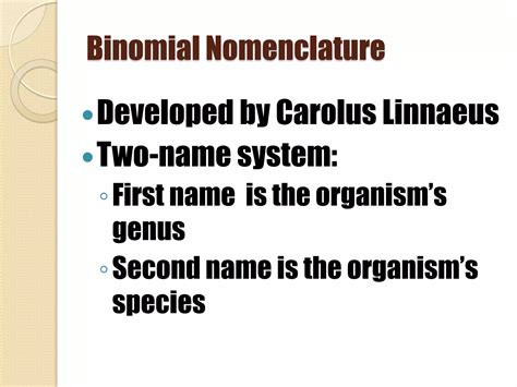 Classification Pdf Gardening Home And Garden