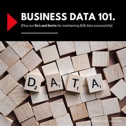 Business Data 101 Plus Our Do S And Don Ts For Maintaining B2B Data Successfully