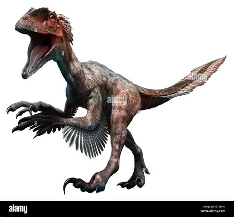 Dinosaurier Deinonychus Fotos Und Bildmaterial In Hoher Auflösung Alamy