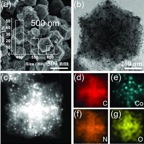 A SEM Image The Inset Is The Particle Size PS Histogram B TEM Download Scientific