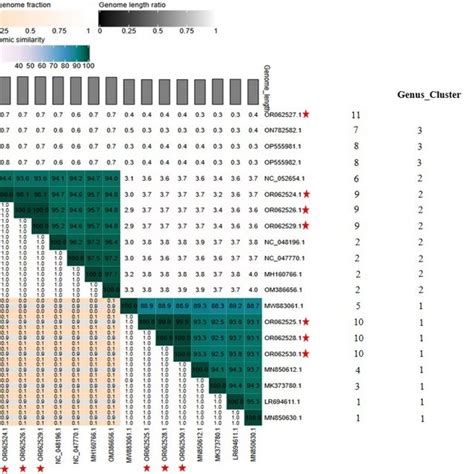 The Heatmap Showing Percentage Intergenomic Sequence Similarities
