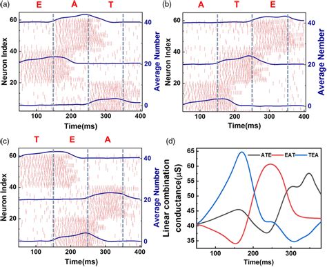 neuron spiking‐rate adaptation in processing word sequence recognition