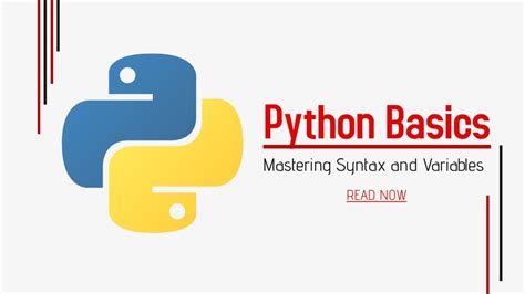 Day 9 Python Basics Mastering Syntax And Variables