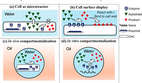 Figure 1 From Droplet Microfluidics For High Throughput Screening And